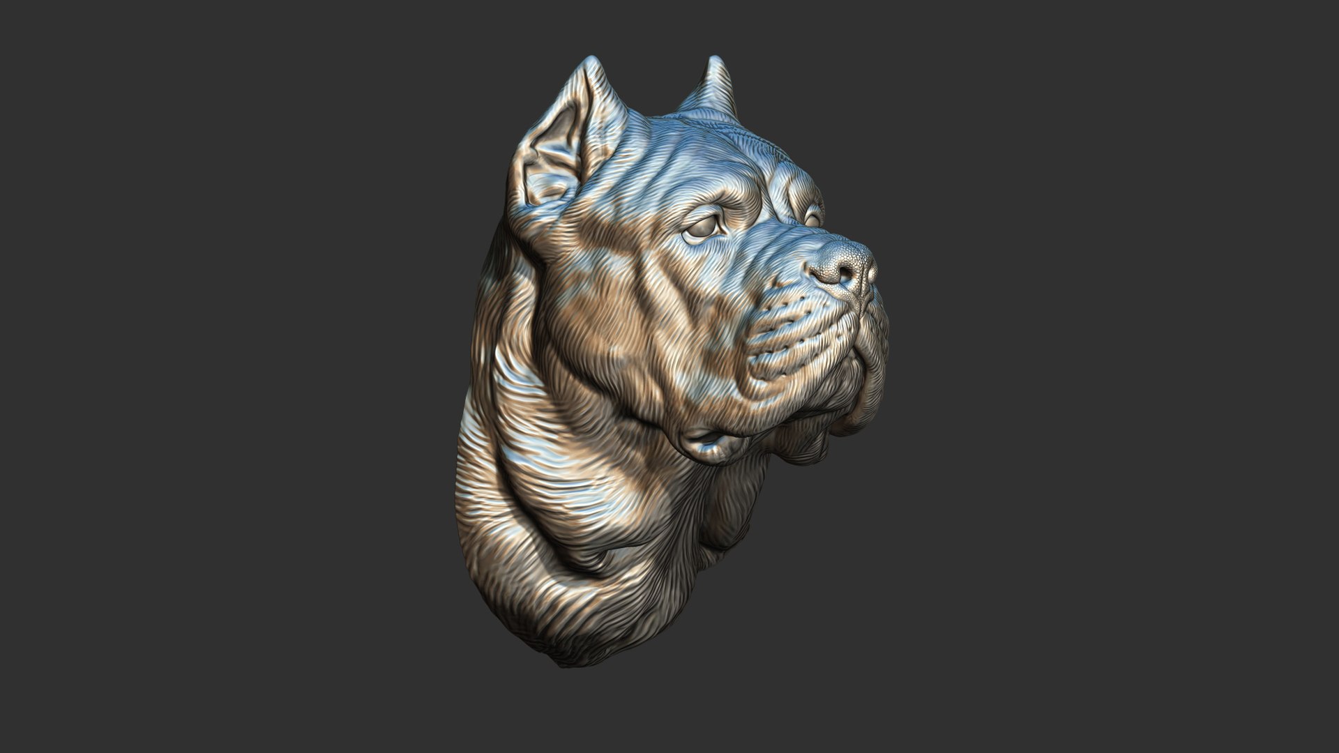 Canne Corso Dog 3D - TurboSquid 2181252