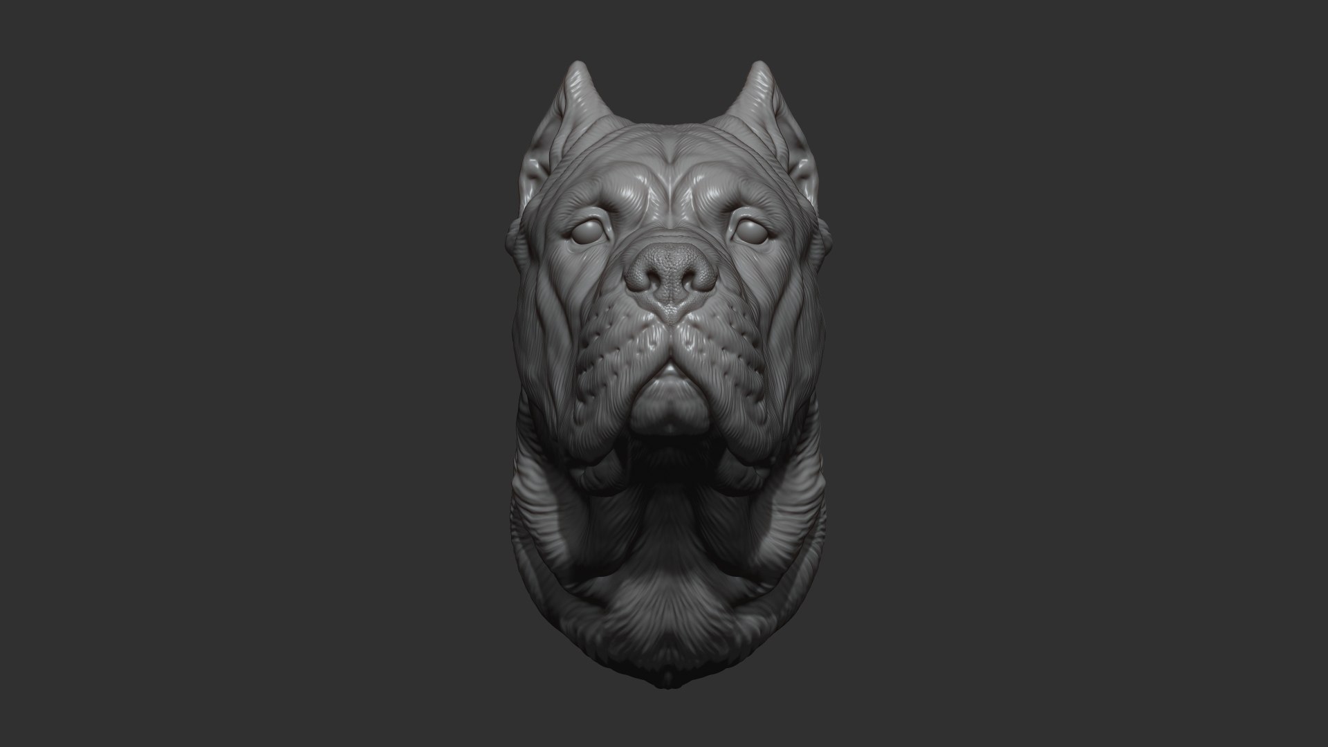 Canne Corso Dog 3D - TurboSquid 2181252