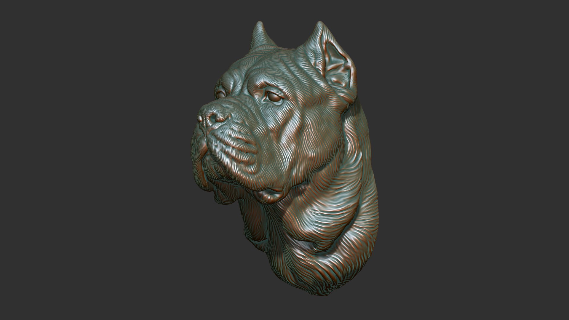 Canne Corso Dog 3D - TurboSquid 2181252
