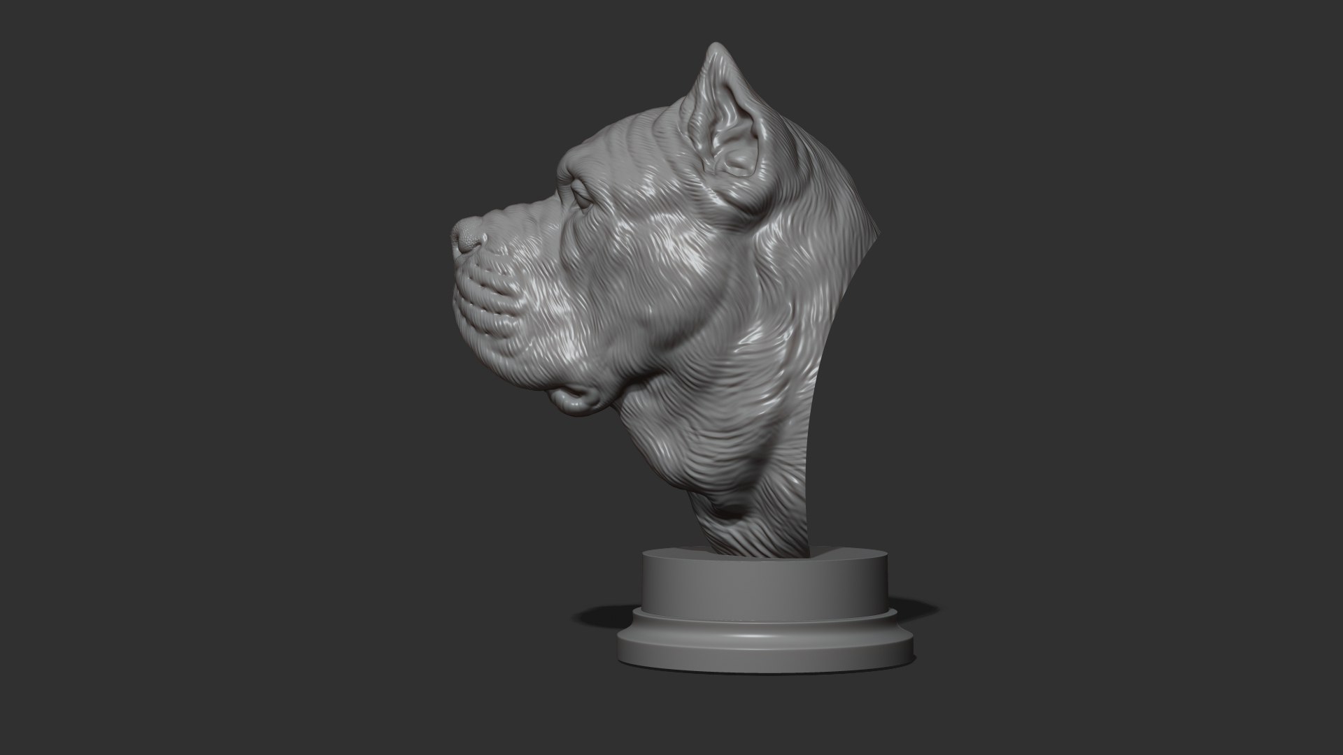 Canne Corso Dog 3D - TurboSquid 2181252