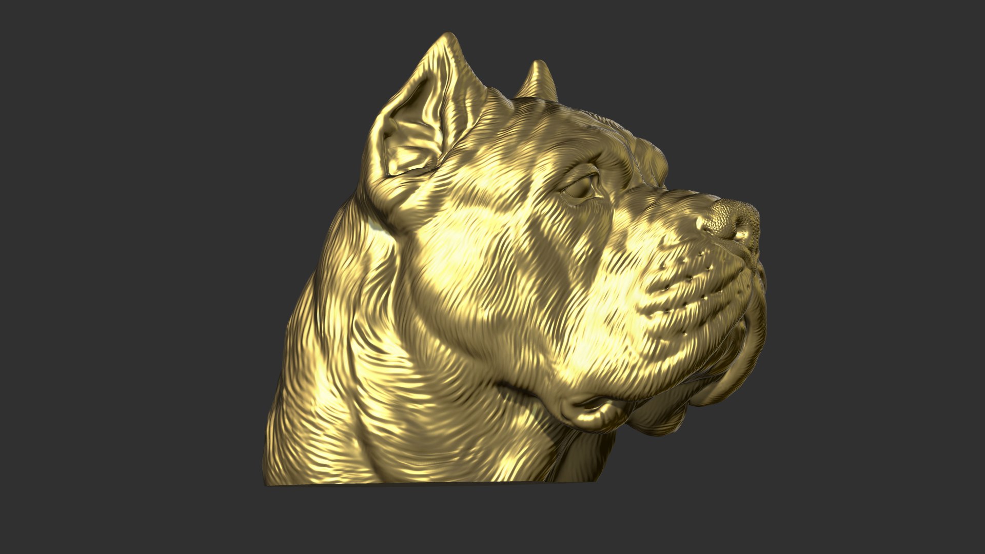 Canne Corso Dog 3D - TurboSquid 2181252
