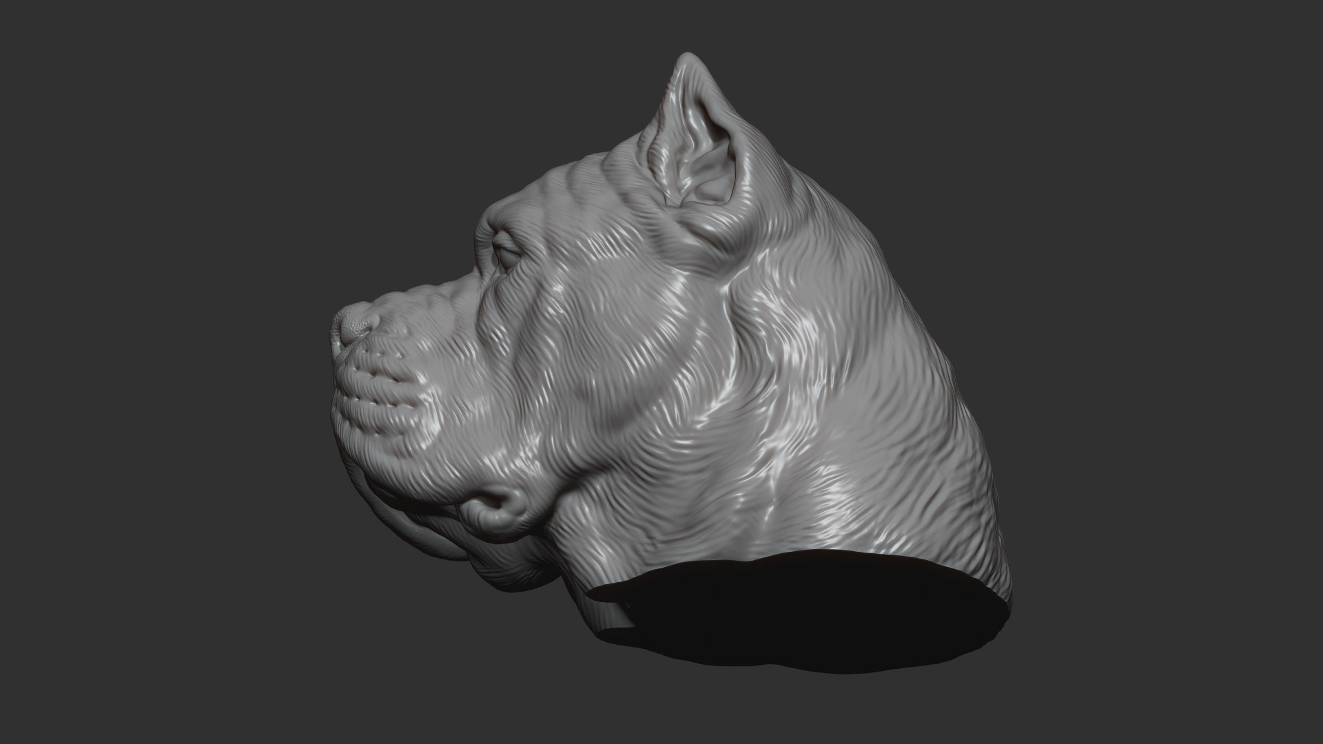 Canne Corso Dog 3D - TurboSquid 2181252