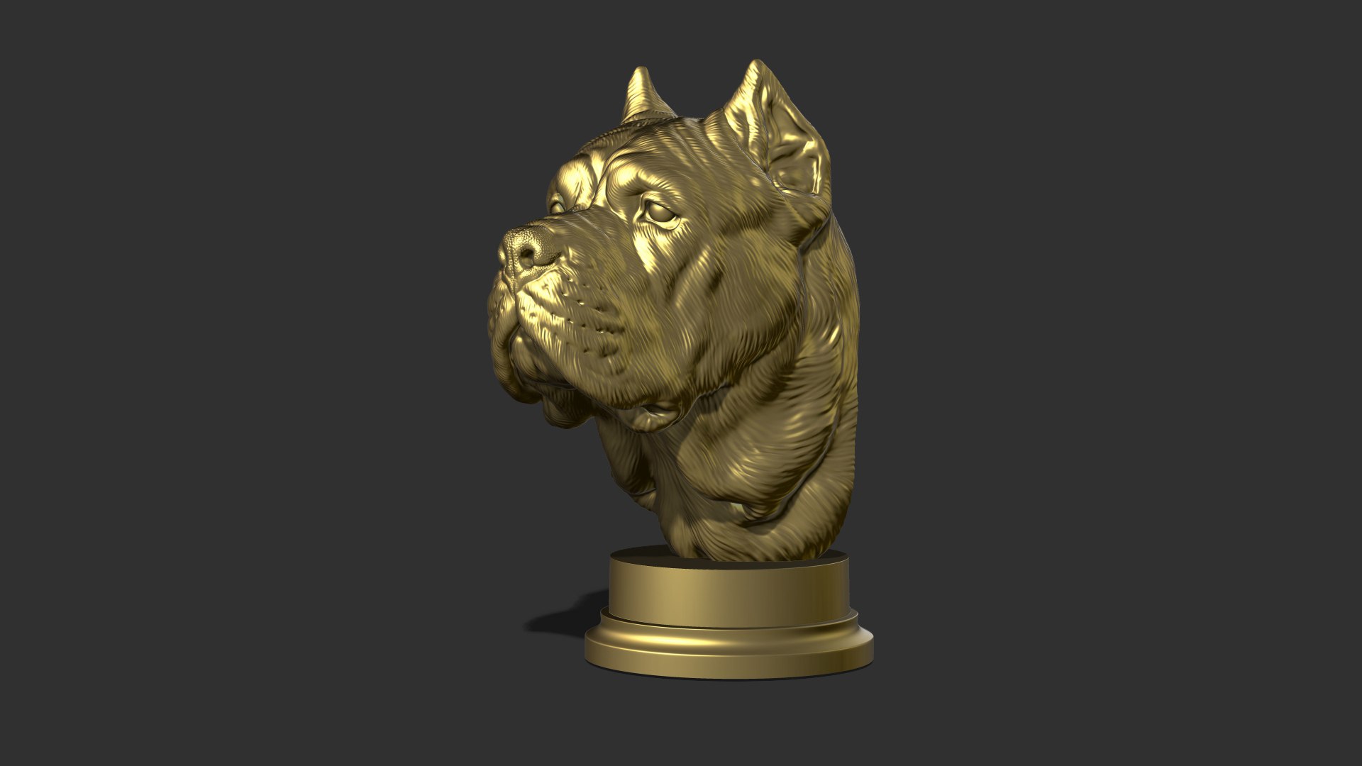 Canne Corso Dog 3D - TurboSquid 2181252