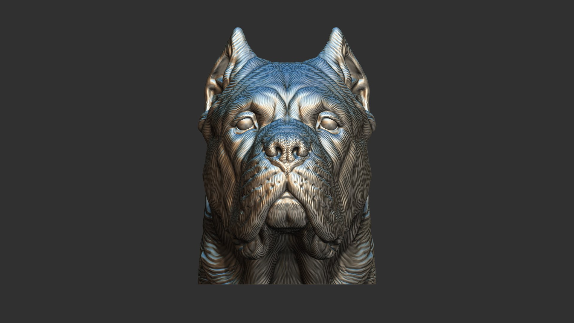 Canne Corso Dog 3D - TurboSquid 2181252