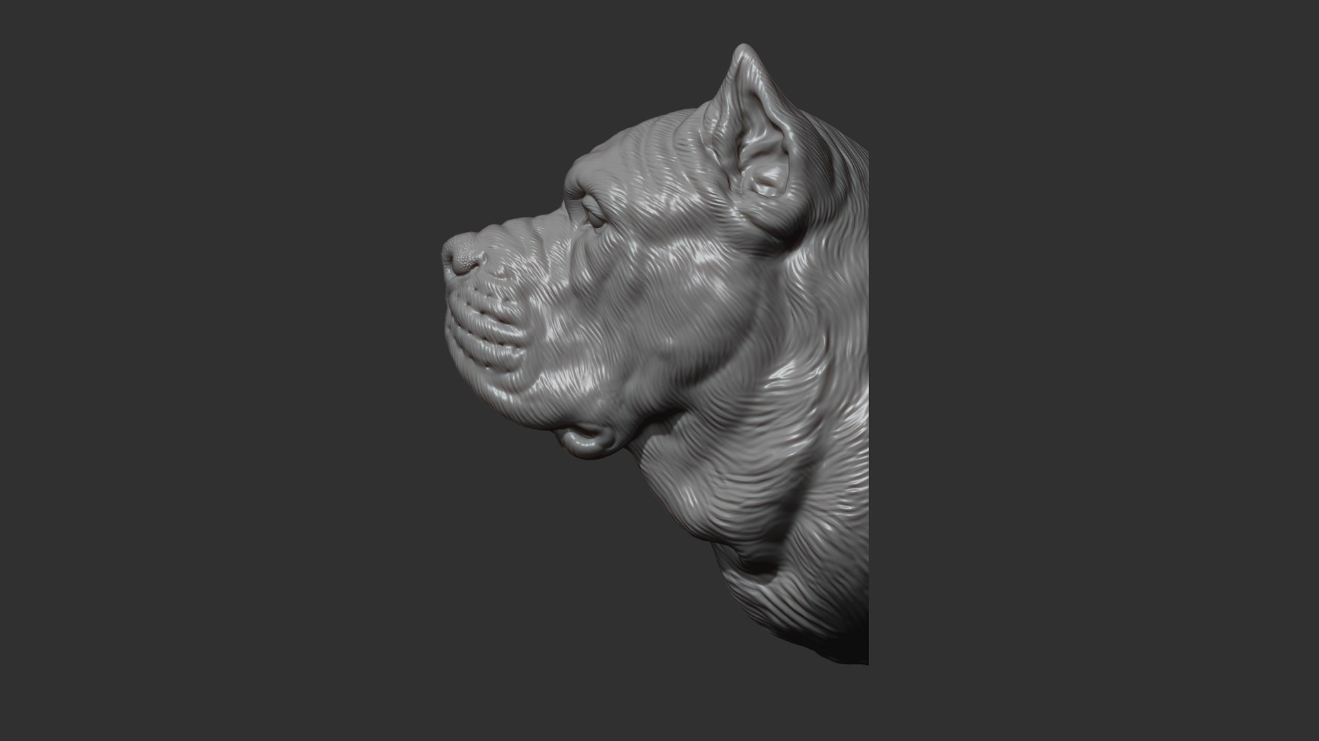 Canne Corso Dog 3D - TurboSquid 2181252