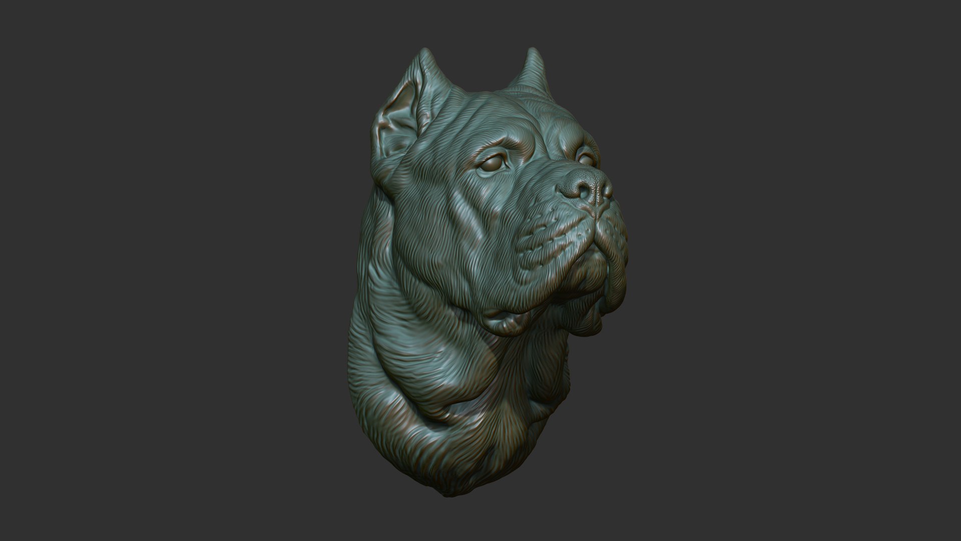 Canne Corso Dog 3D - TurboSquid 2181252
