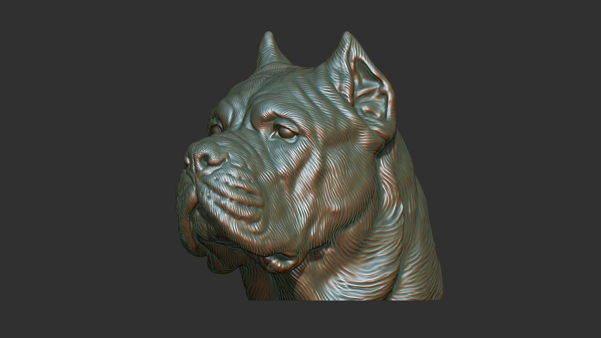 Canne Corso Dog 3D - TurboSquid 2181252