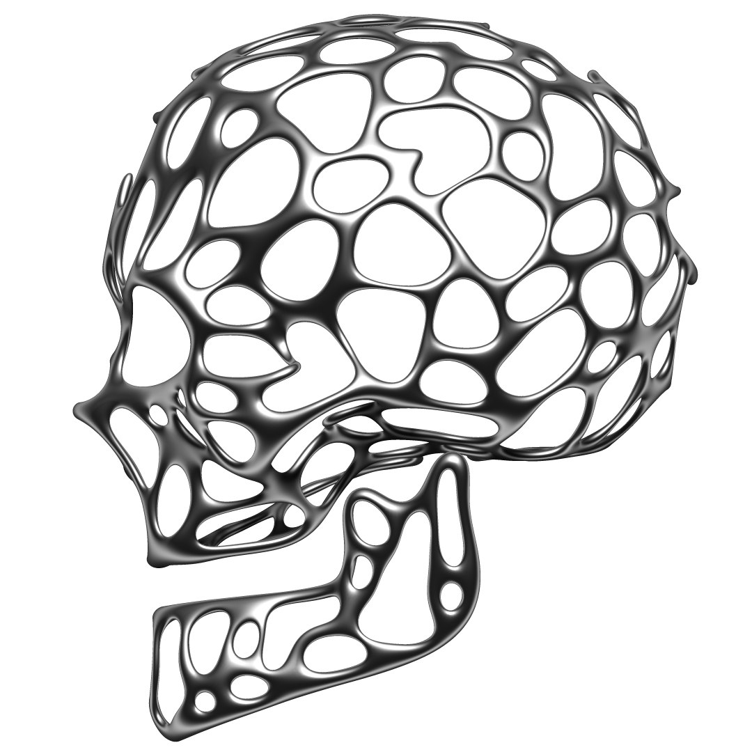 3d skull