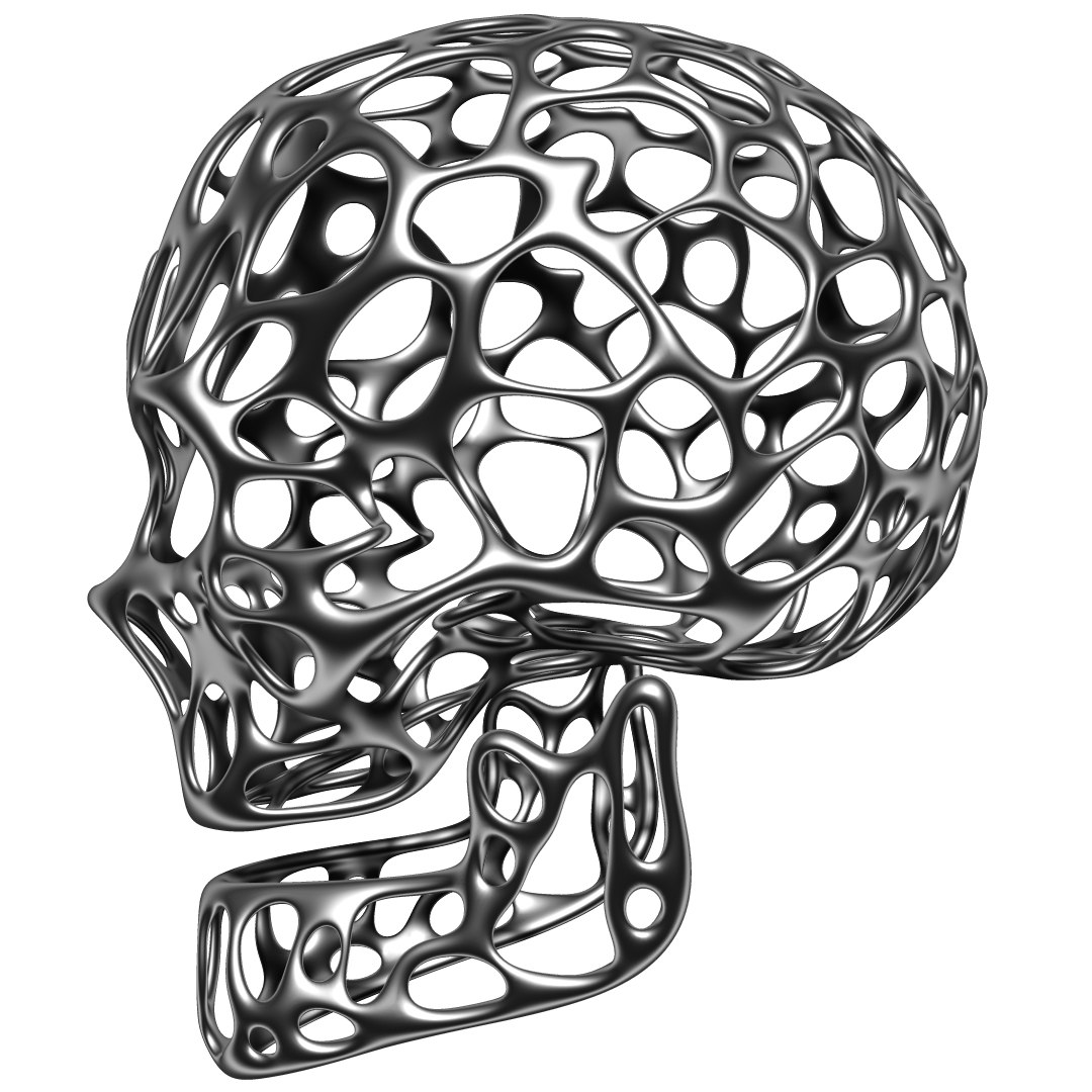 3d skull