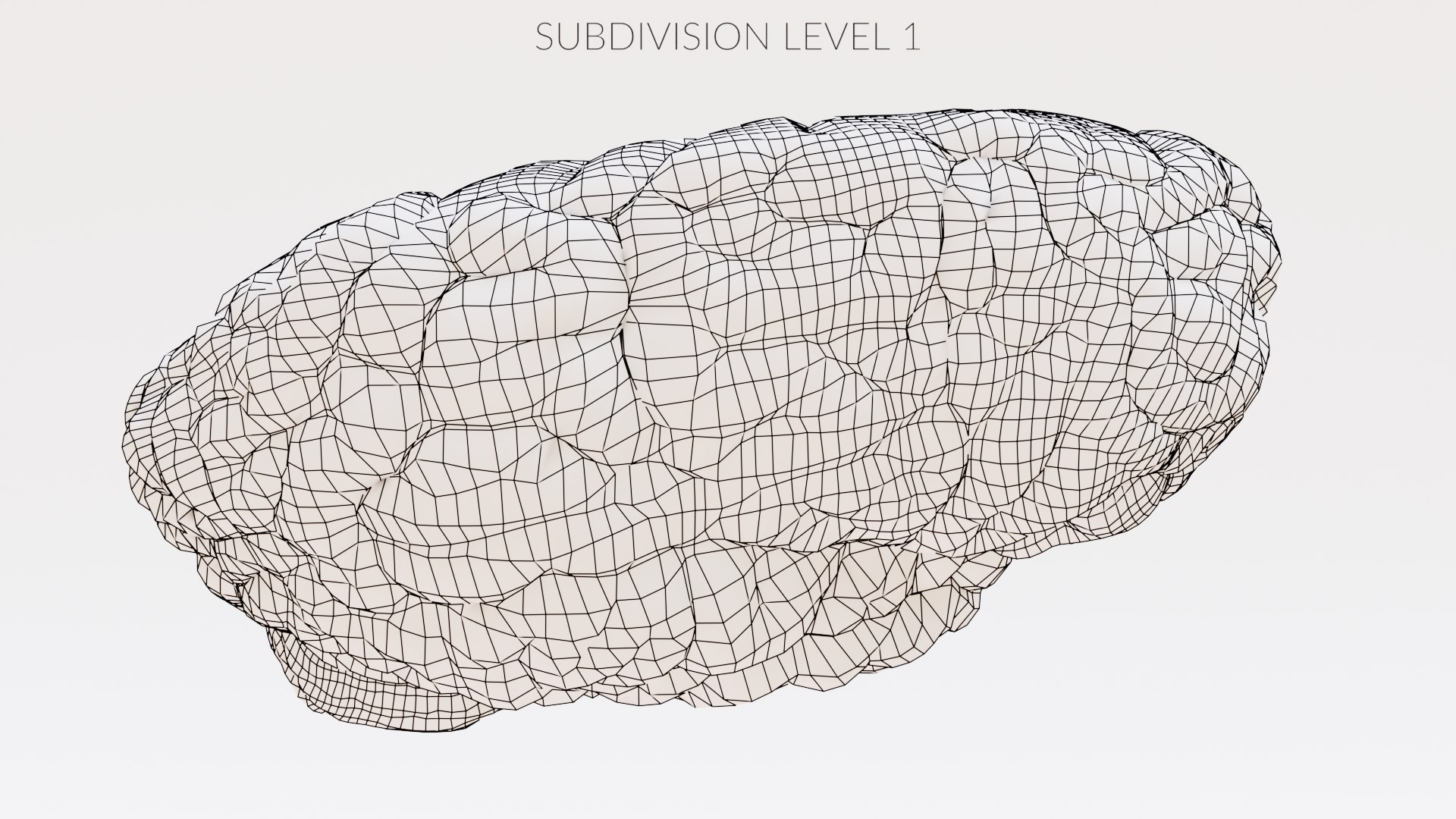 3D Model Plastic Brain Section - TurboSquid 2023513