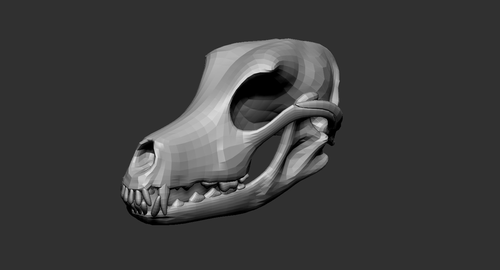 3D Model Dog Skull Anatomy Base Mesh - TurboSquid 1472117