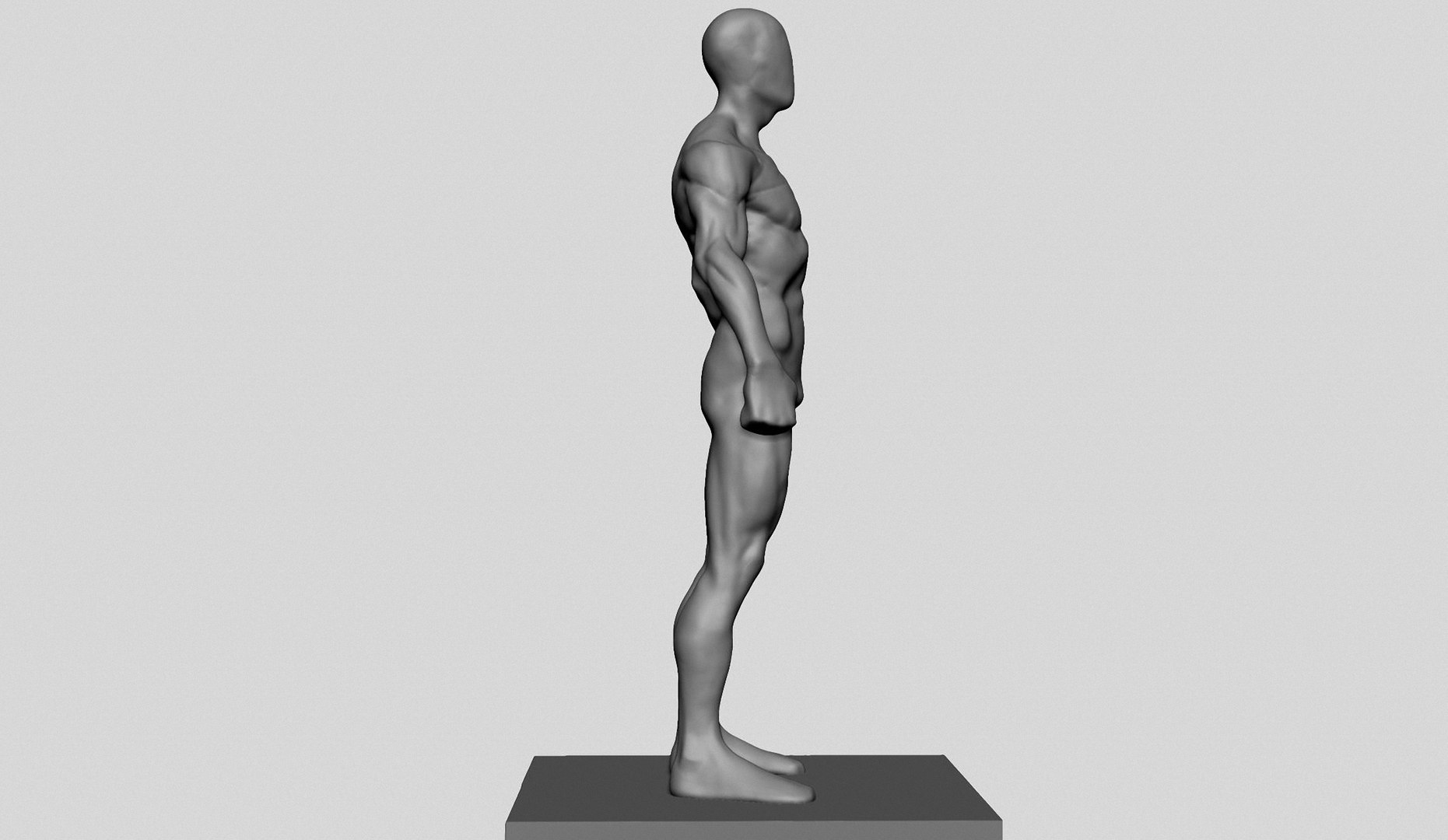 Average Male Anatomy 3D Model - TurboSquid 1891923