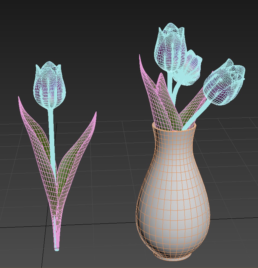 3d Model Tulip