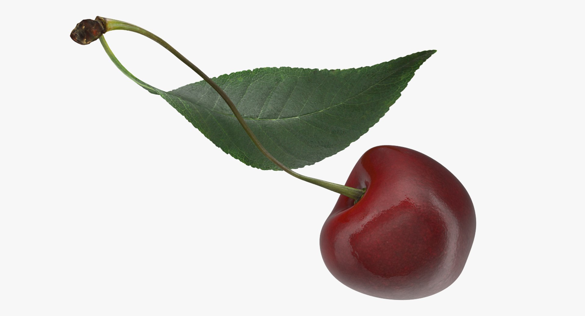 3D Cherry Realistic Model - TurboSquid 1202624
