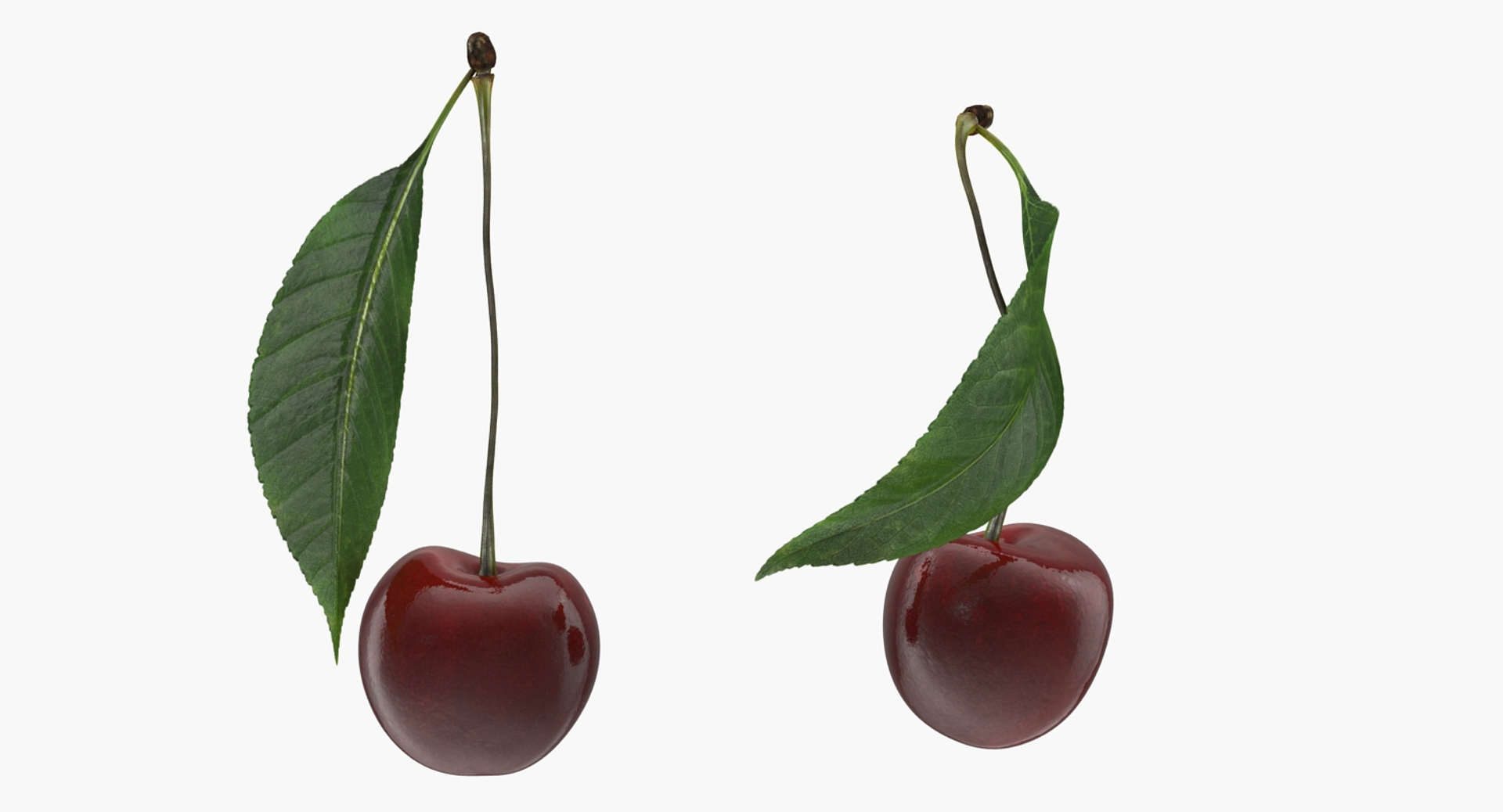 3D Cherry Realistic Model - TurboSquid 1202624