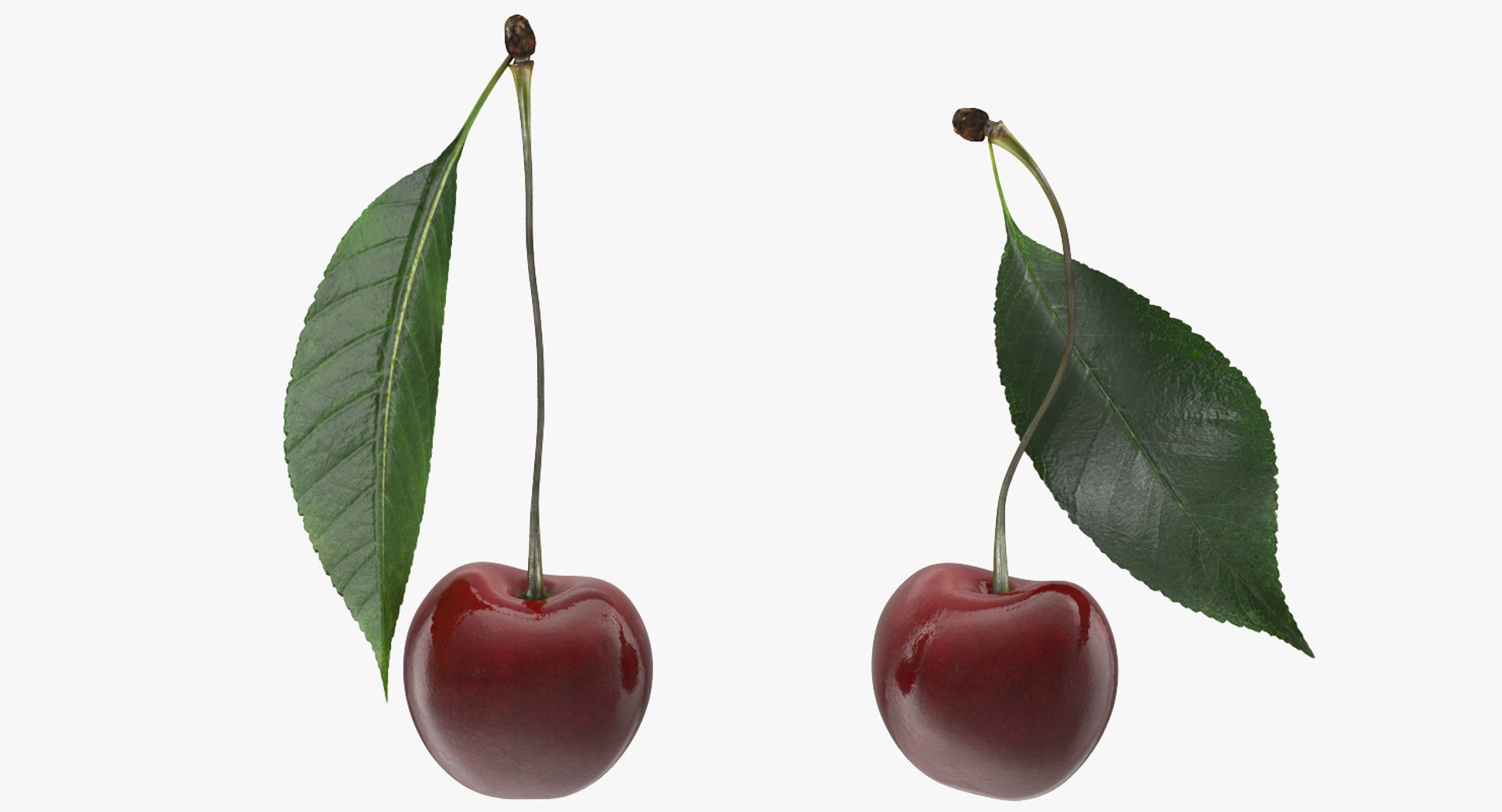 3D Cherry Realistic Model - TurboSquid 1202624