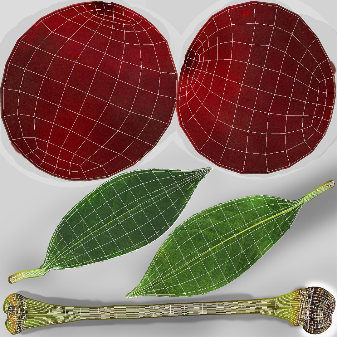 3D Cherry Realistic Model - TurboSquid 1202624