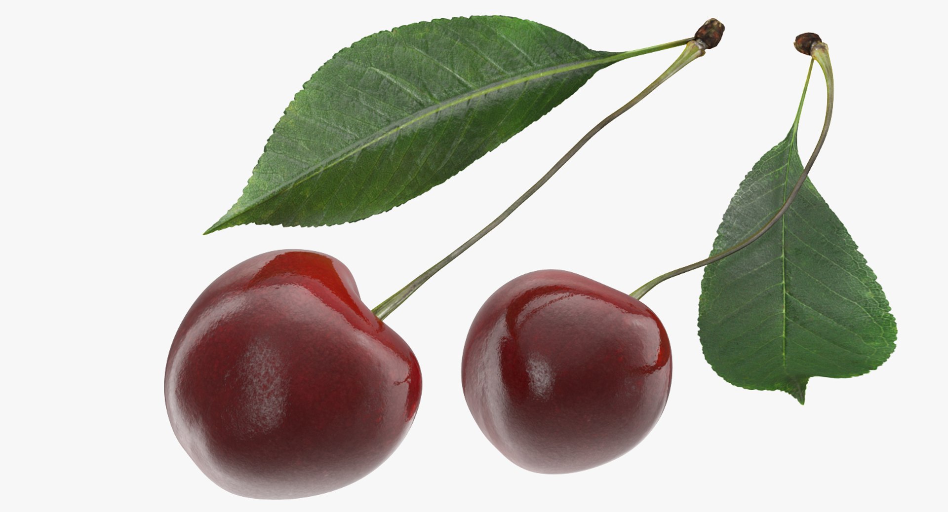 3D Cherry Realistic Model - TurboSquid 1202624