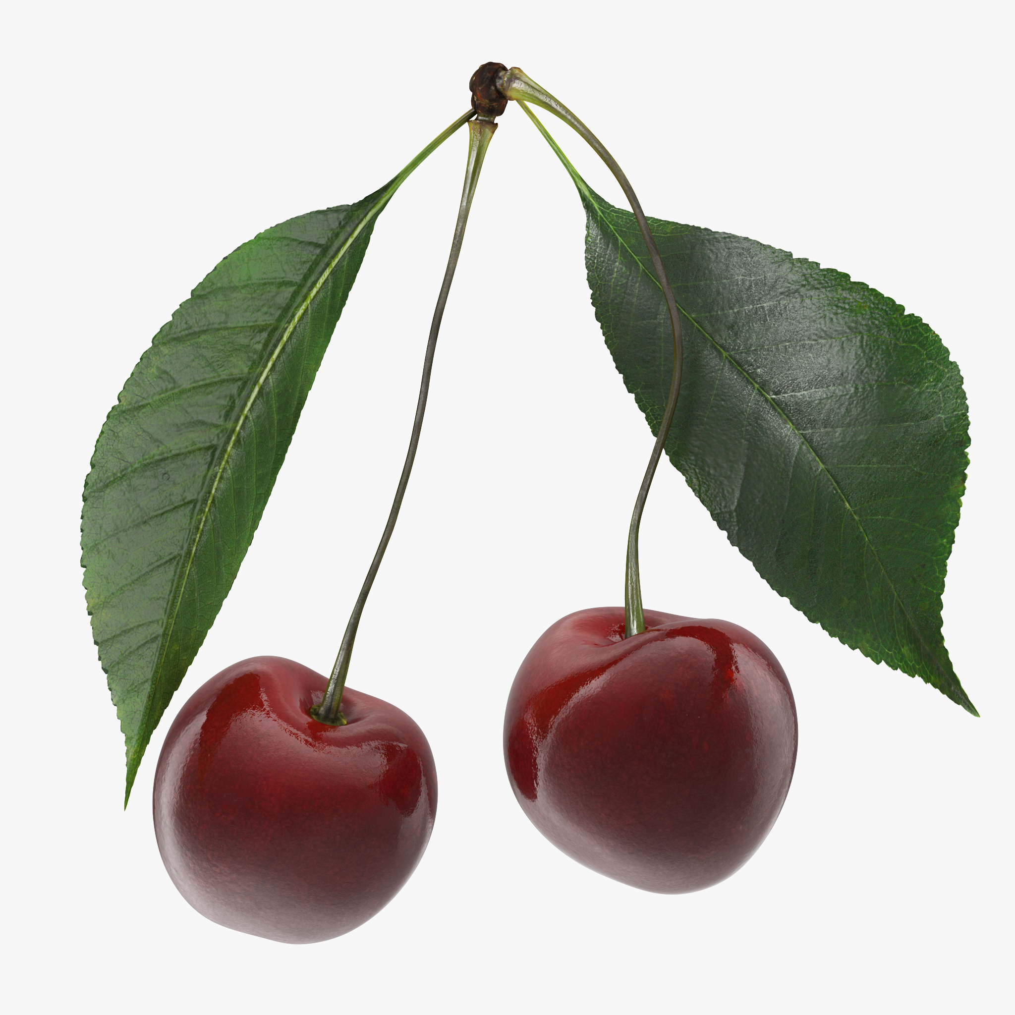 3D cherry realistic model - TurboSquid 1202624