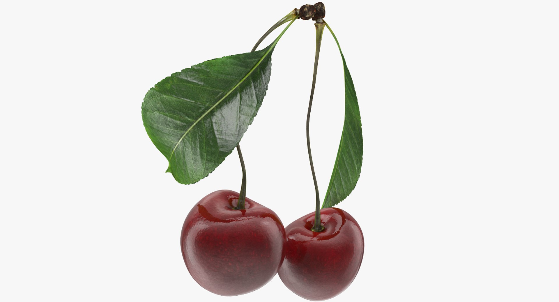 3D Cherry Realistic Model - TurboSquid 1202624