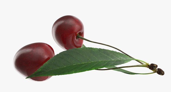 3D cherry realistic model - TurboSquid 1202624