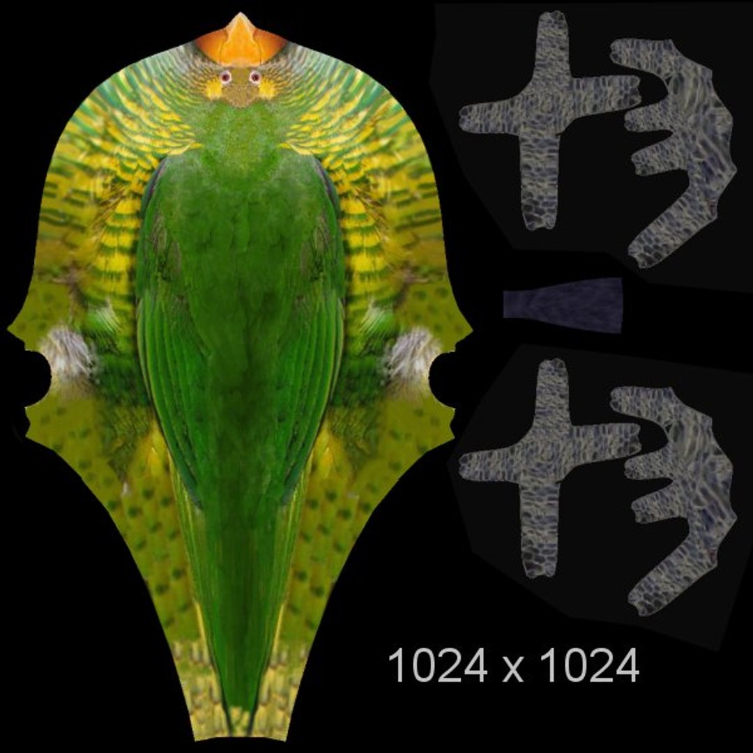 3d parrot birds ab