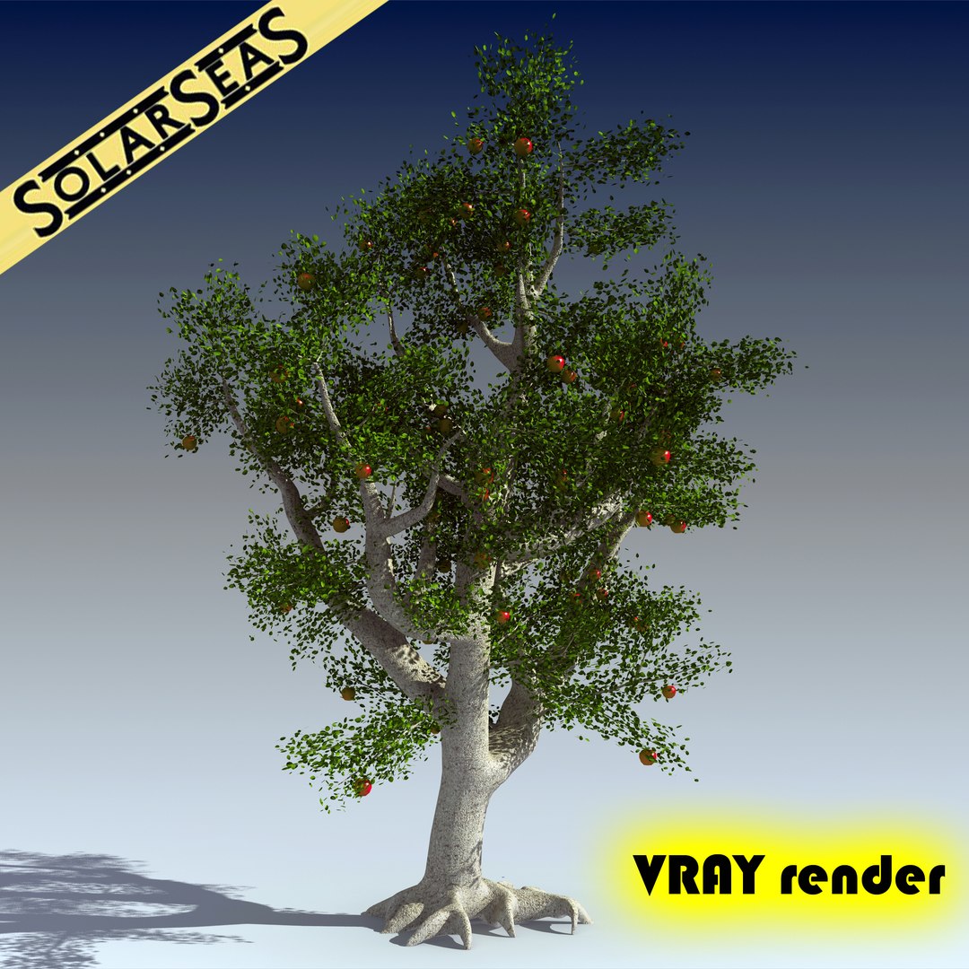 Realistic Apple Tree 3d Model