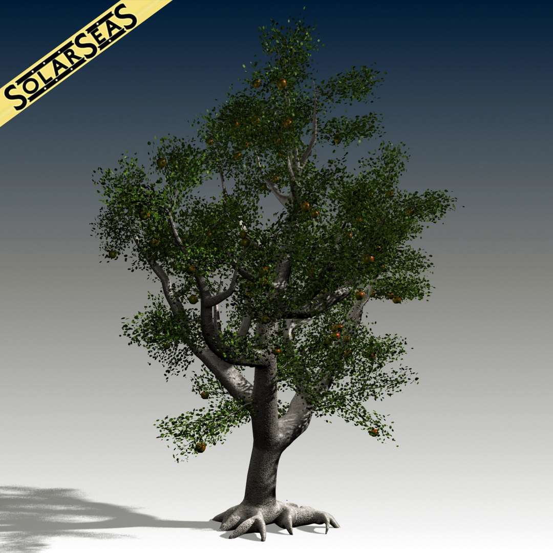 Realistic Apple Tree 3d Model