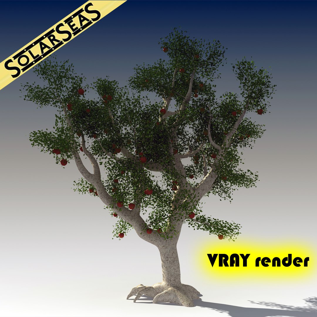 Realistic Apple Tree 3d Model