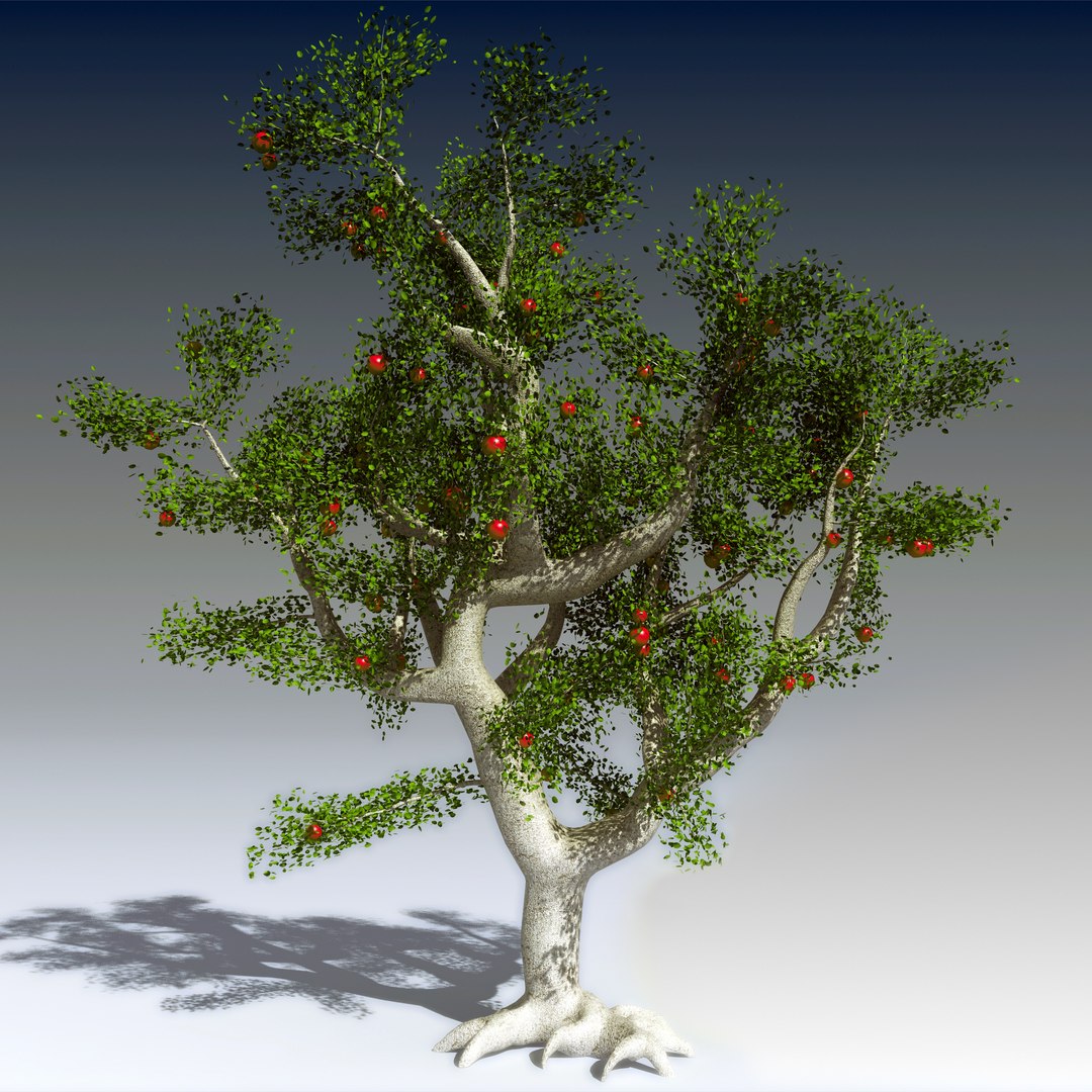 Realistic Apple Tree 3d Model