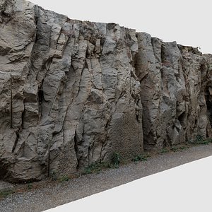 3D Scan Rock Wall - TurboSquid 1525102