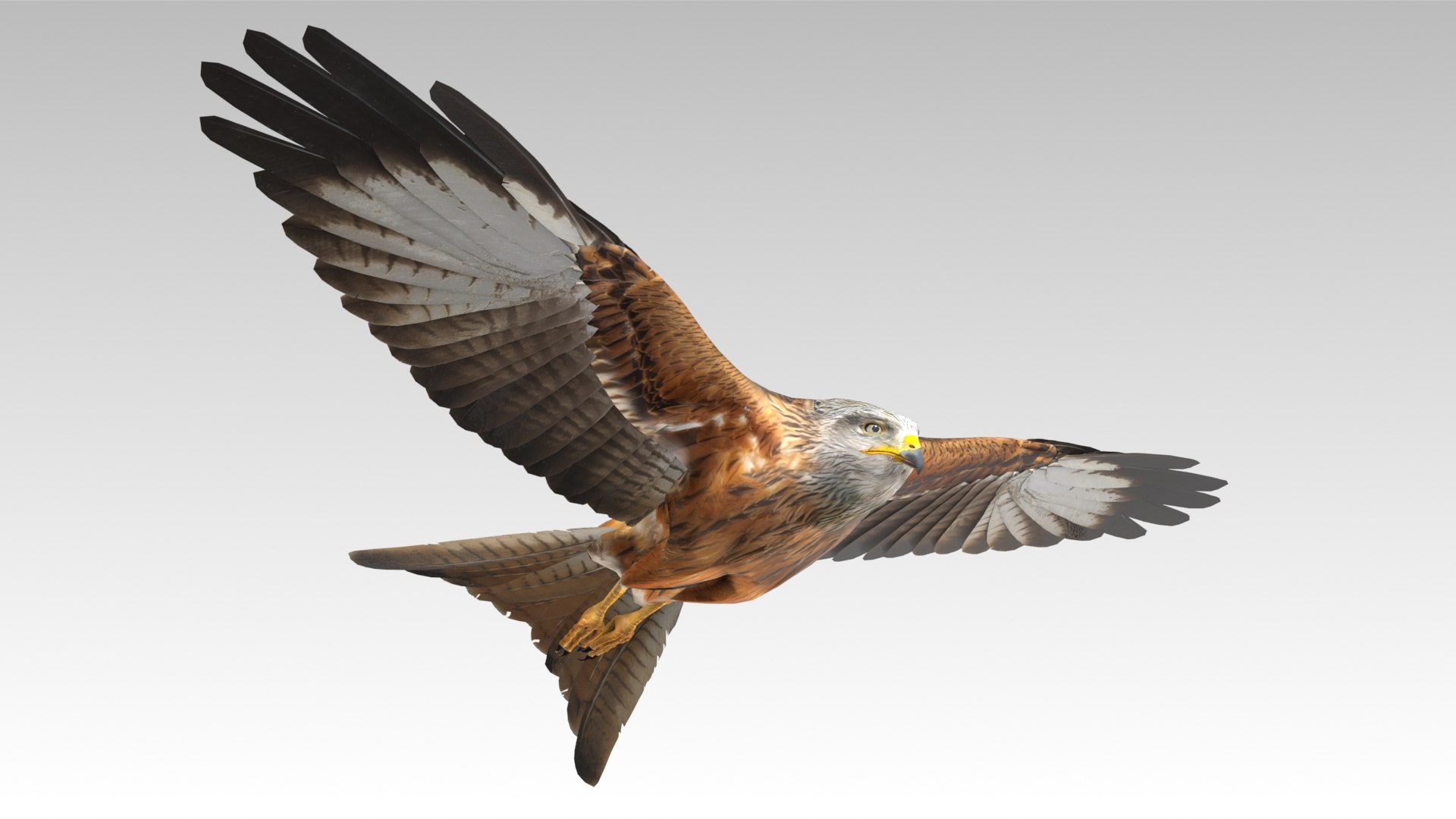 3D Red Kite - TurboSquid 2425222