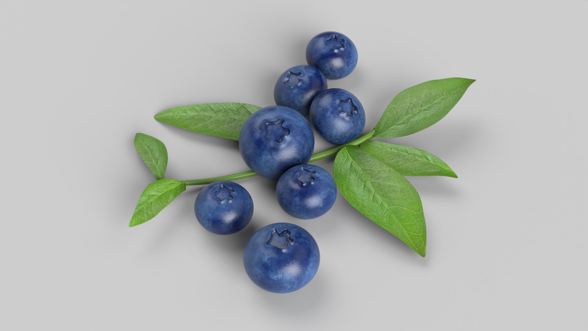 Blueberries 3D Model - TurboSquid 2127565