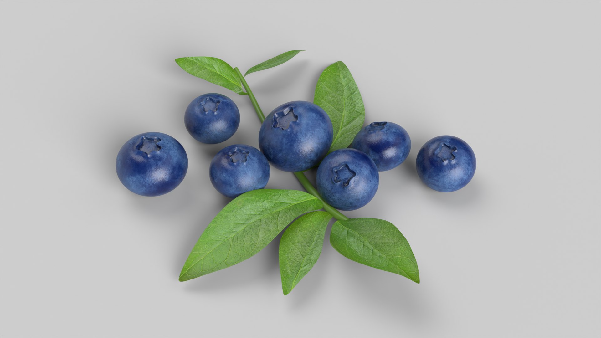 Blueberries 3D Model - TurboSquid 2127565