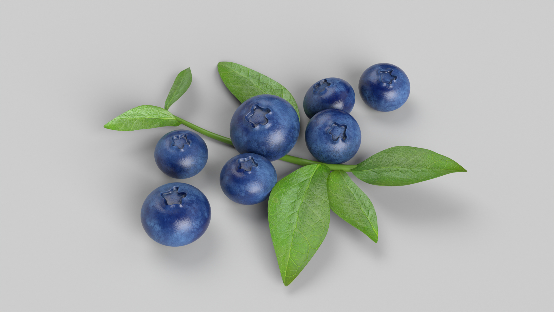 Blueberries 3D Model - TurboSquid 2127565