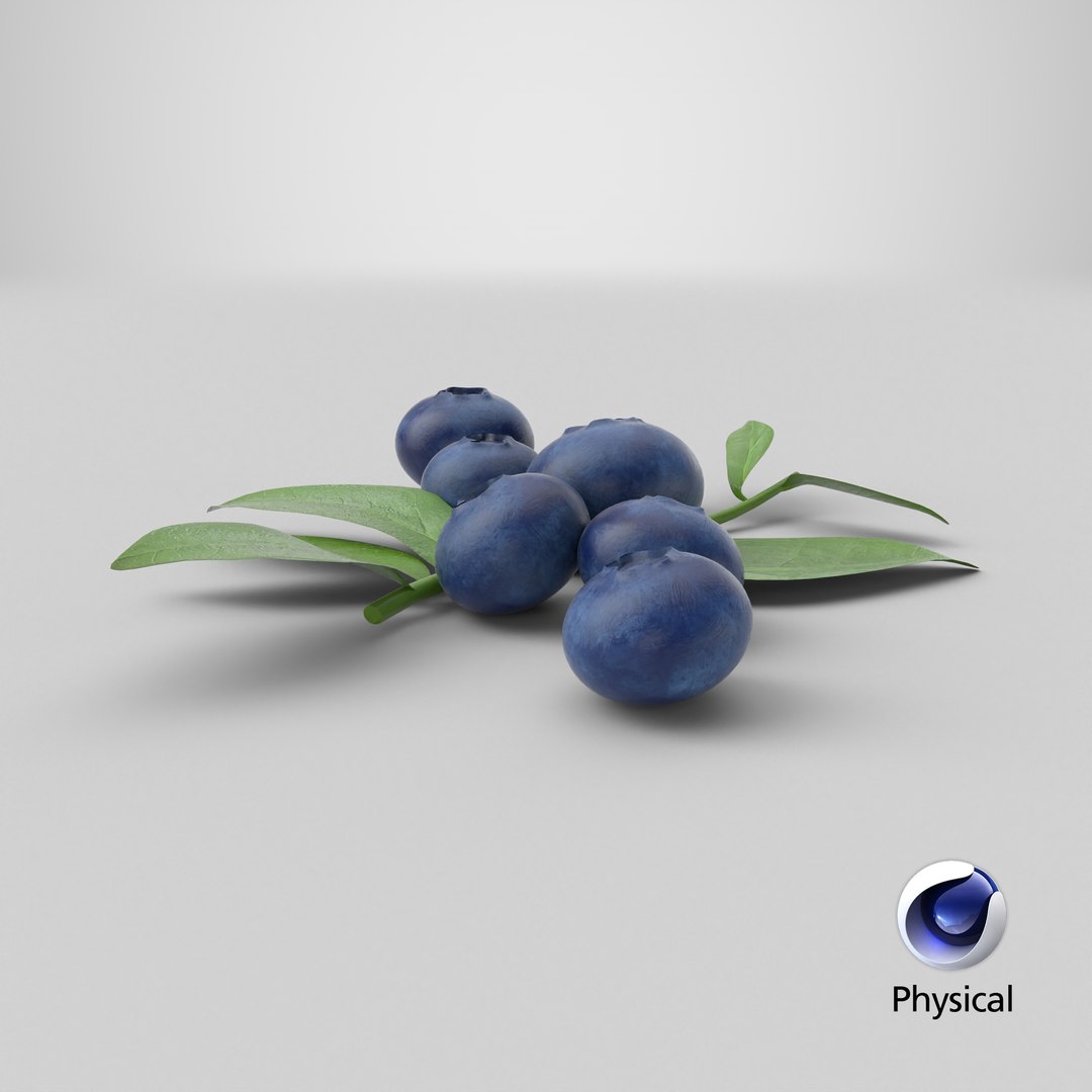 Blueberries 3D Model - TurboSquid 2127565