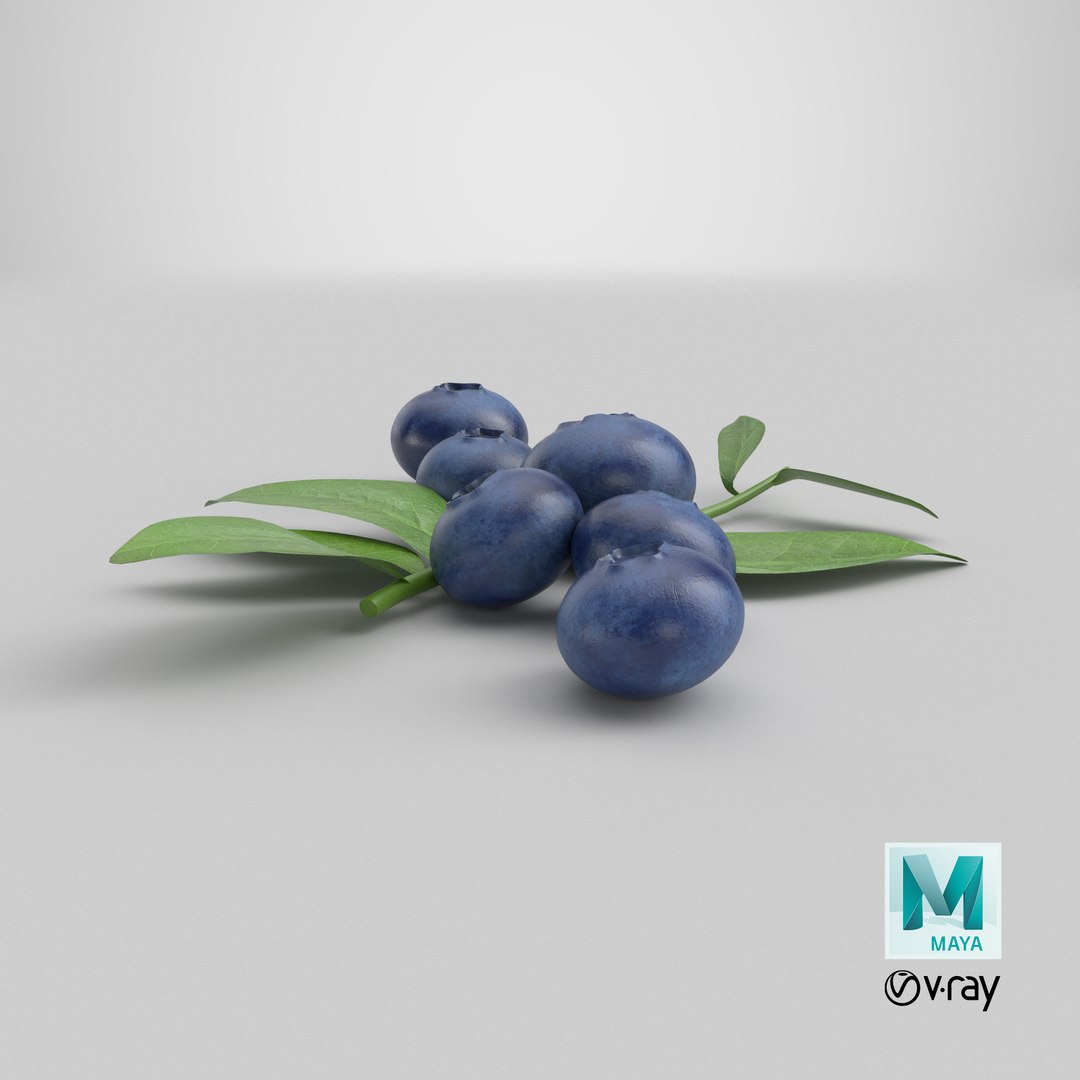 Blueberries 3D Model - TurboSquid 2127565