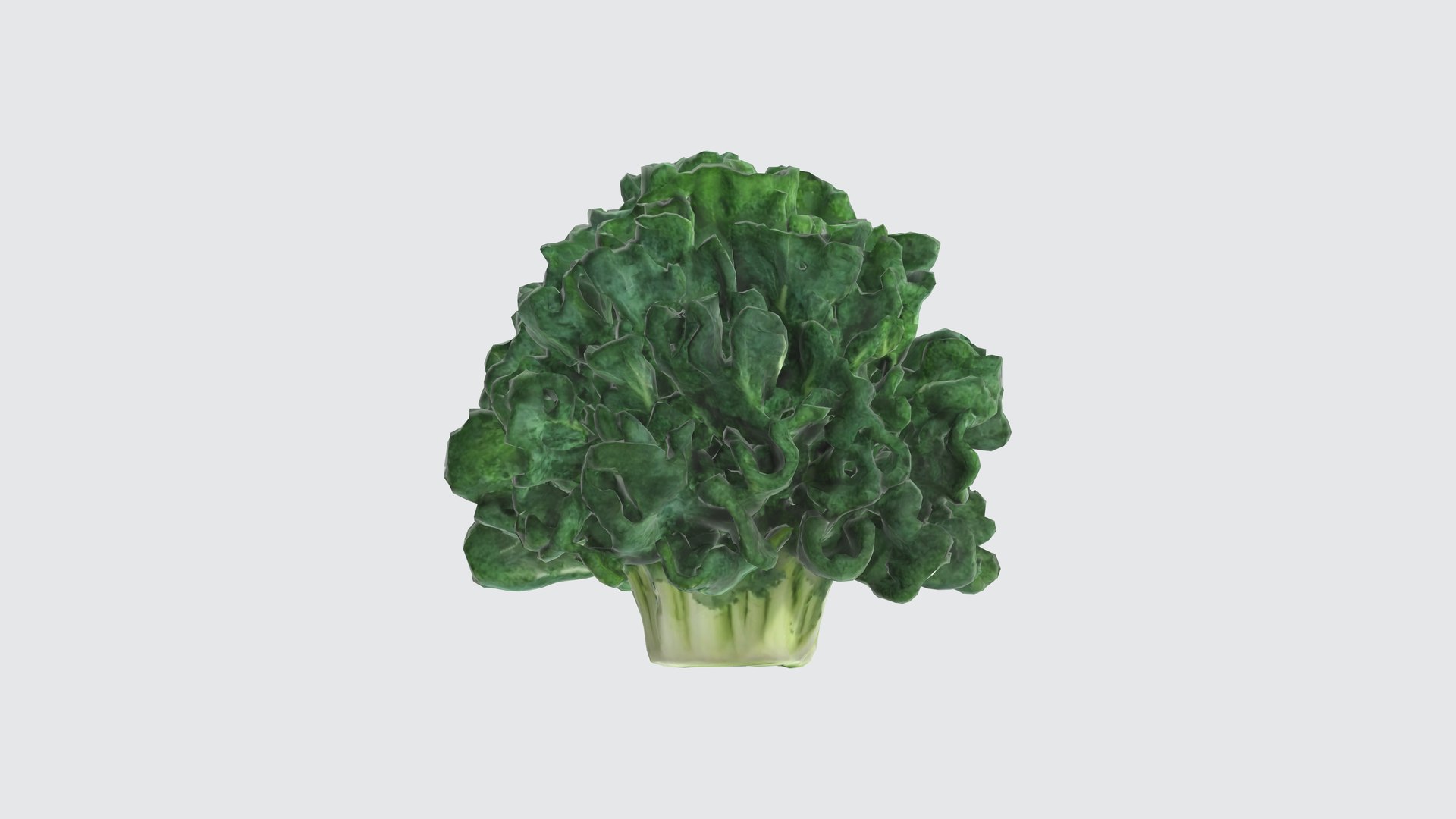 Curly Kale 3D Model - TurboSquid 2281533