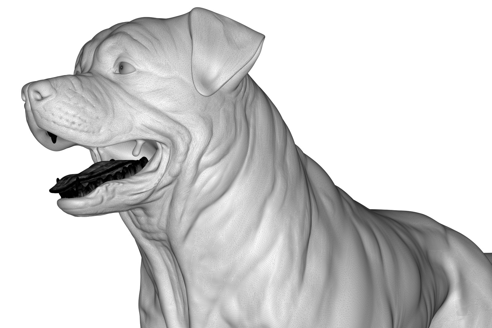 Rottweiler Model - TurboSquid 2217291