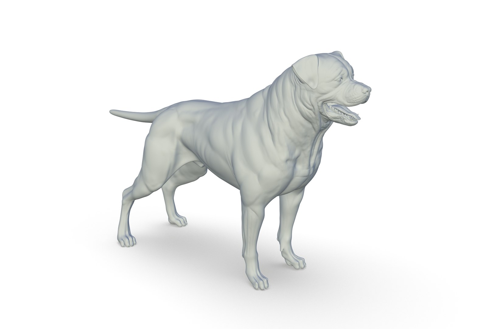 Rottweiler Model - TurboSquid 2217291