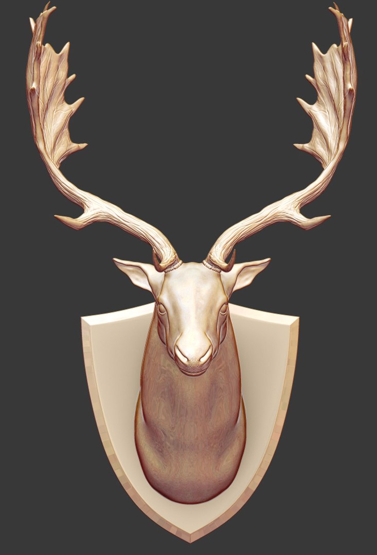 Fallow Deer 3D Model - TurboSquid 1242463