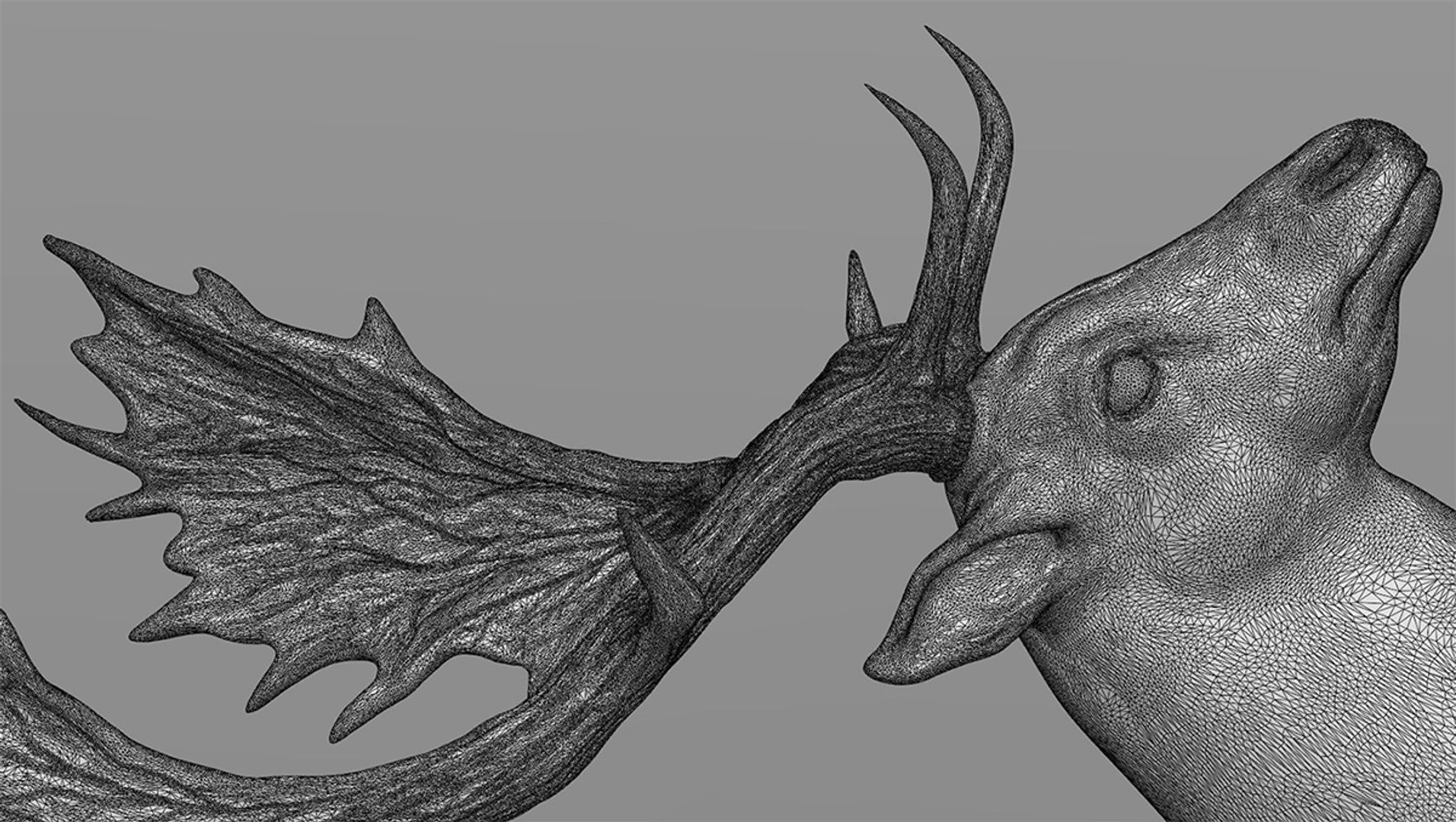 Fallow Deer 3D Model - TurboSquid 1242463