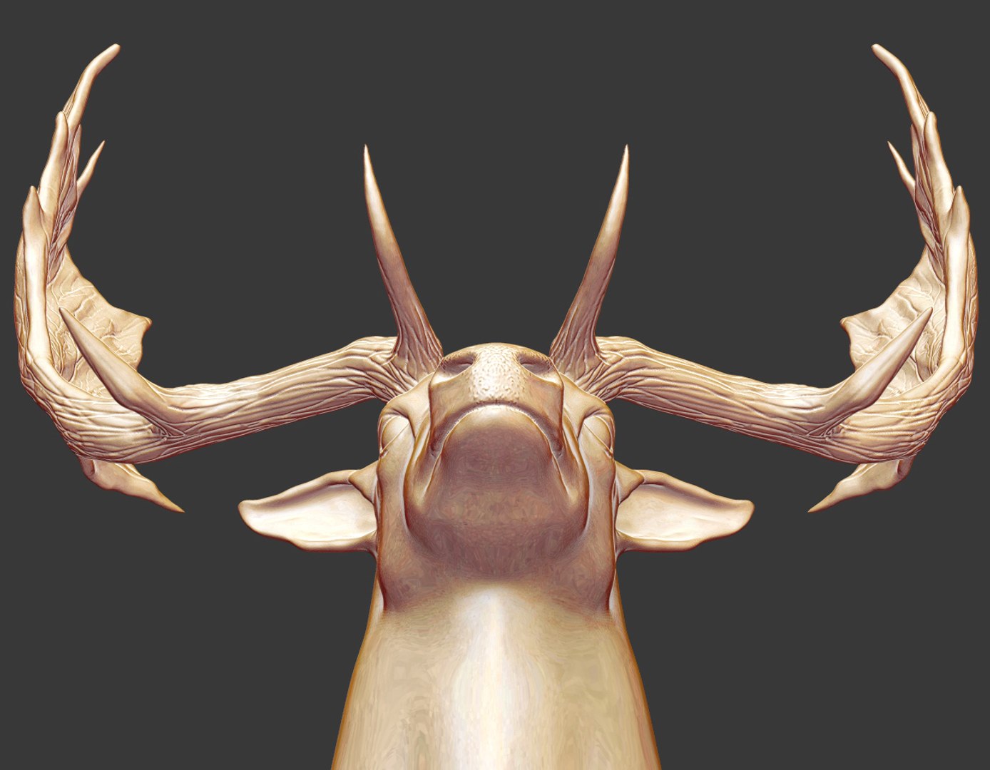 Fallow Deer 3D Model - TurboSquid 1242463
