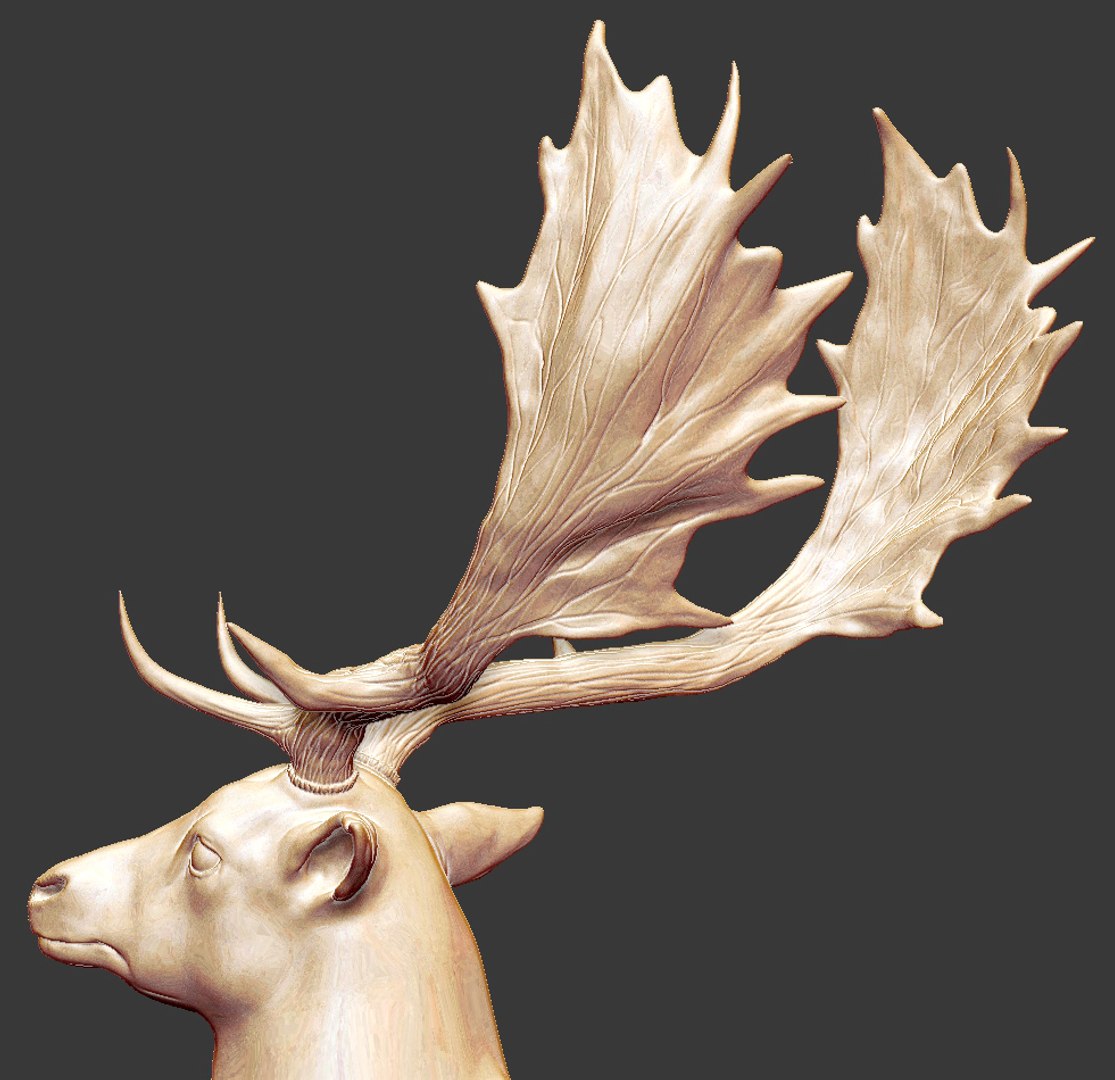 Fallow Deer 3D Model - TurboSquid 1242463