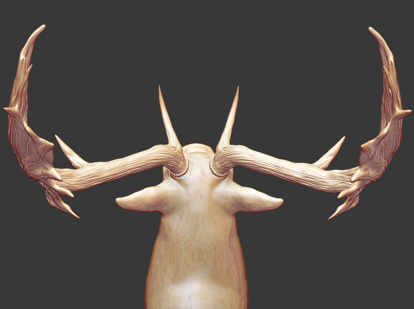 Fallow Deer 3D Model - TurboSquid 1242463