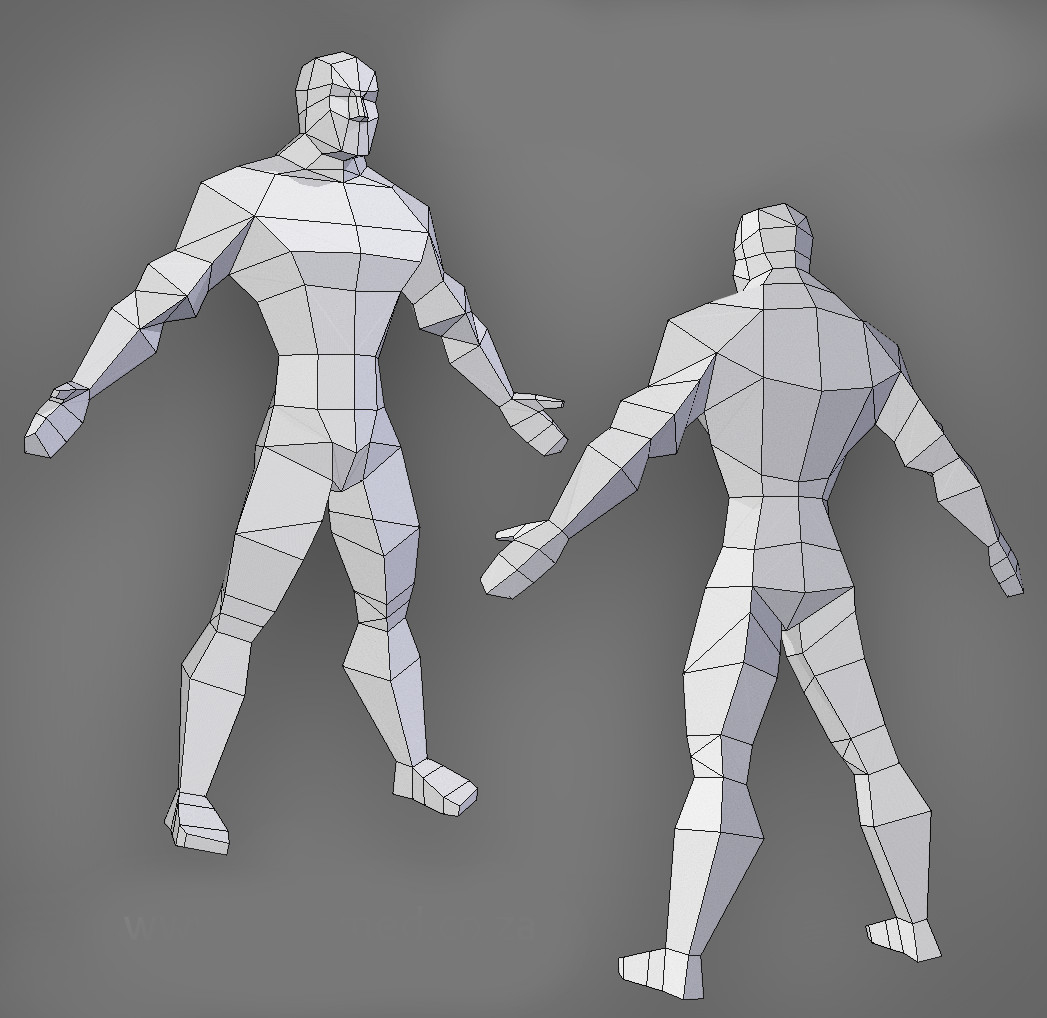 modelo 3d Músculos del modelo masculino de baja poli - TurboSquid 1405046