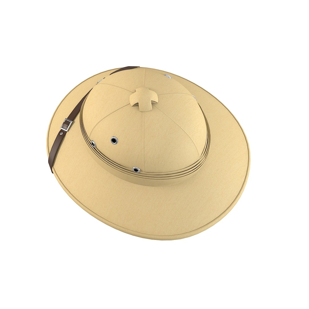 village hat french 3d model