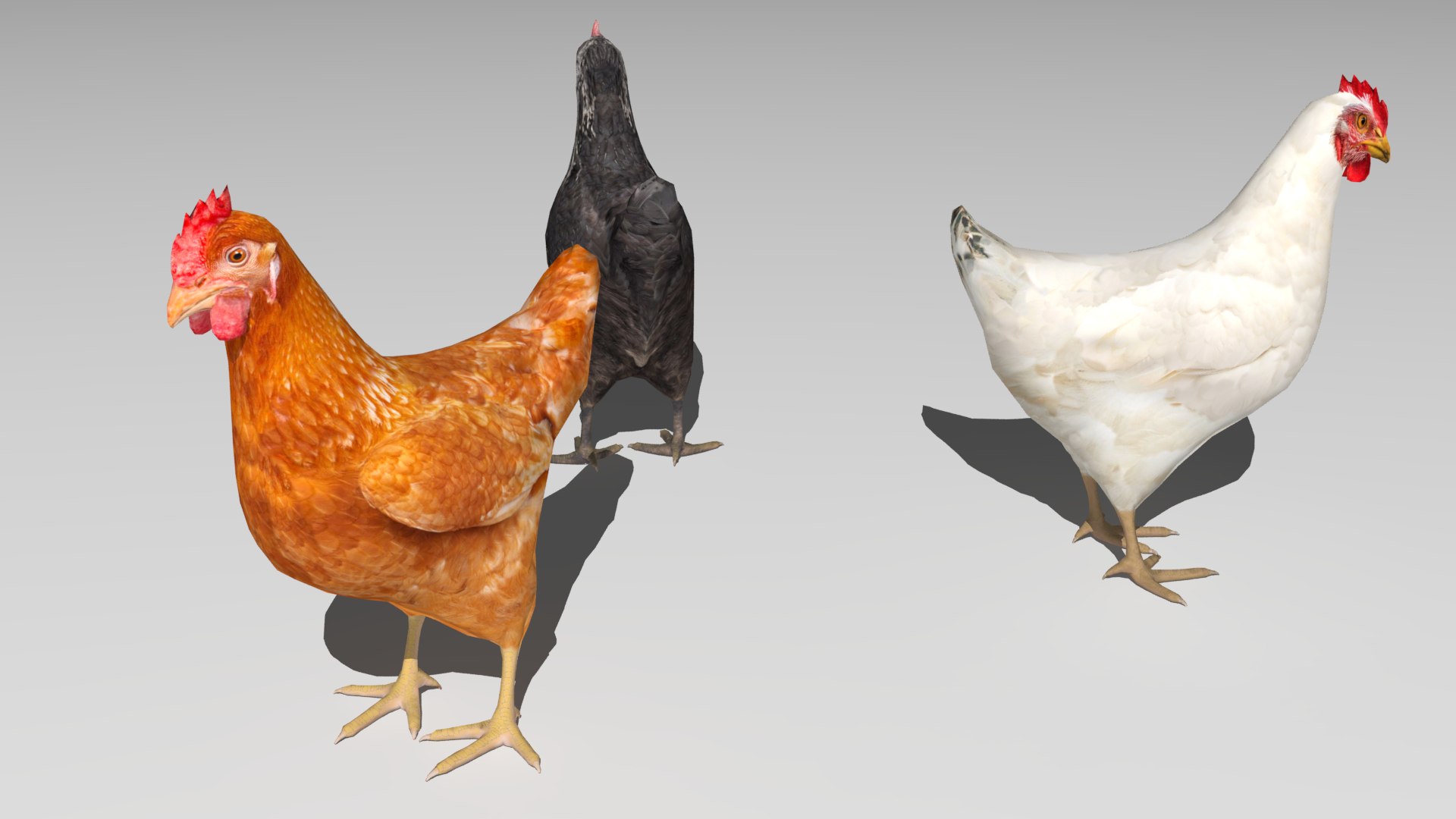 Chicken For 3d Printing 3D Model - TurboSquid 2171098