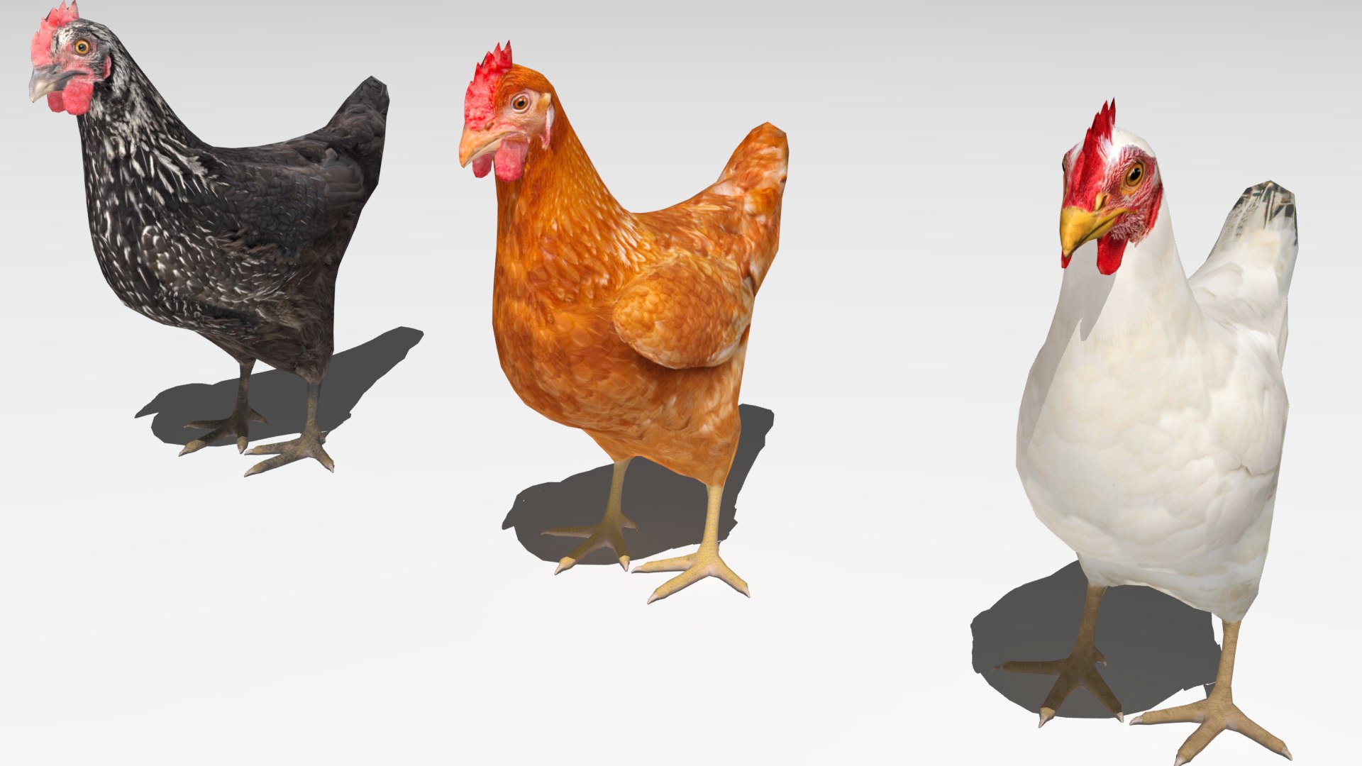 Chicken For 3d Printing 3D Model - TurboSquid 2171098