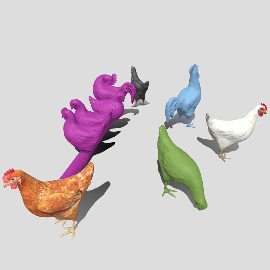 Chicken For 3d Printing 3D Model - TurboSquid 2171098